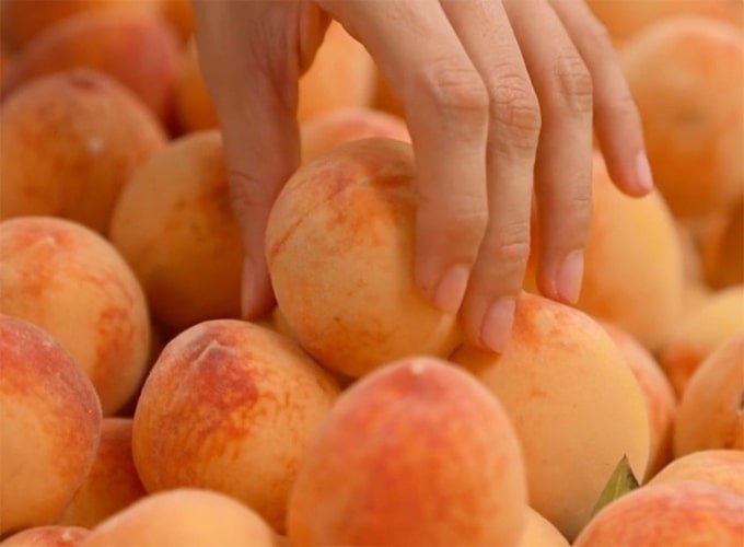 My Designs | Megapack.pk